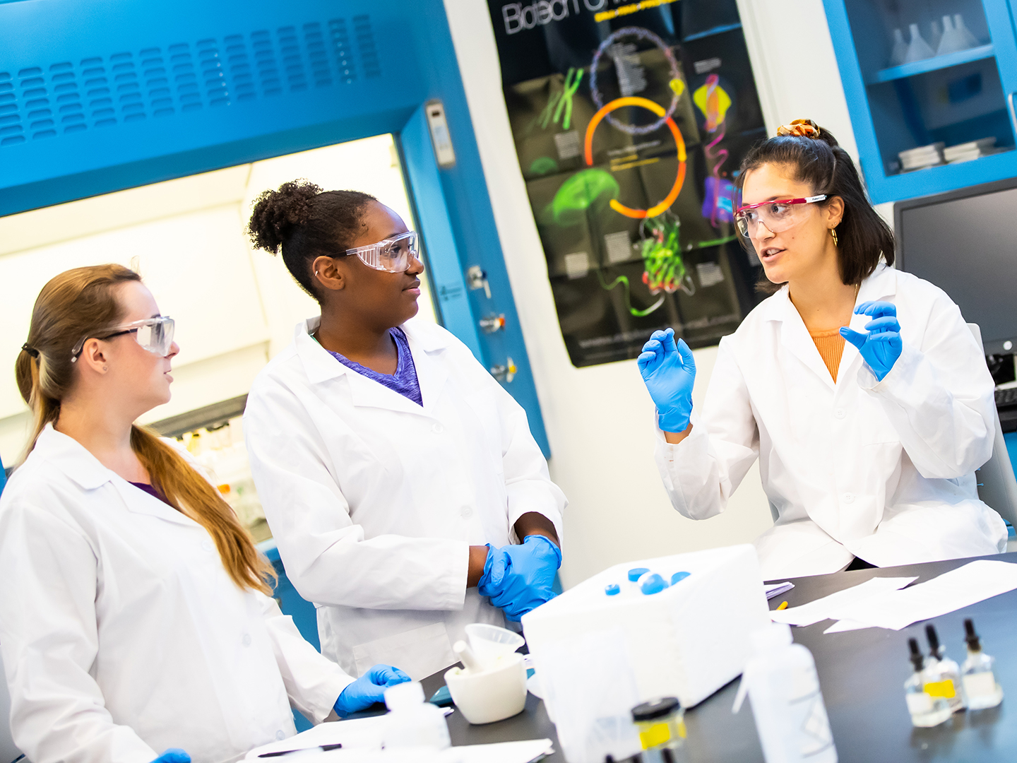 Biology - New College of Florida