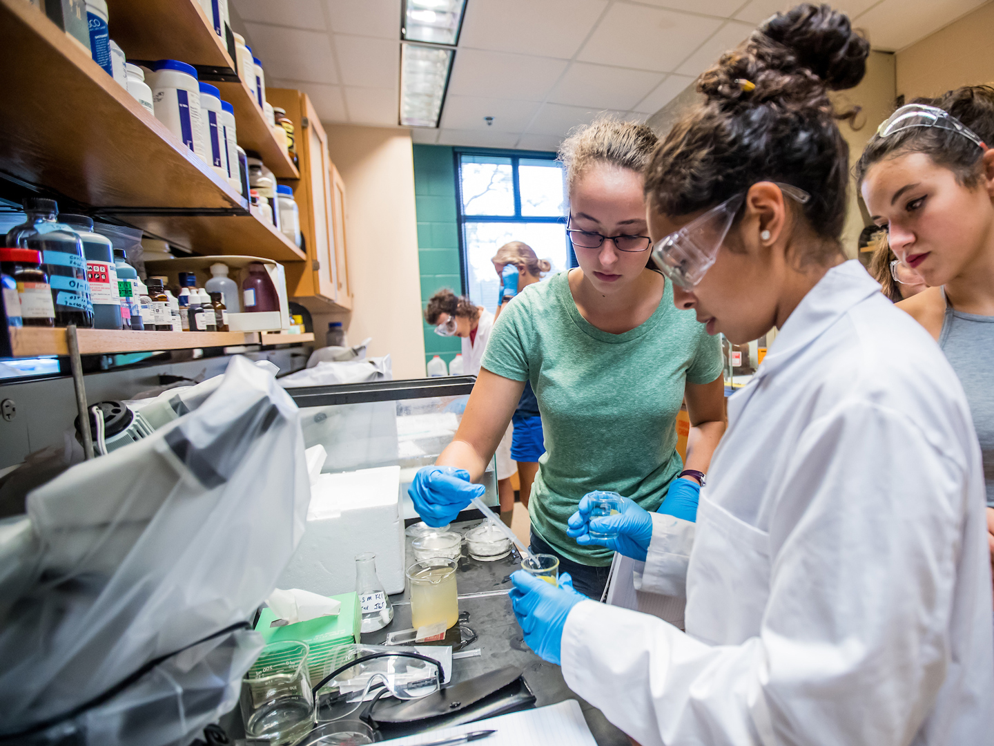 Natural Sciences - New College of Florida