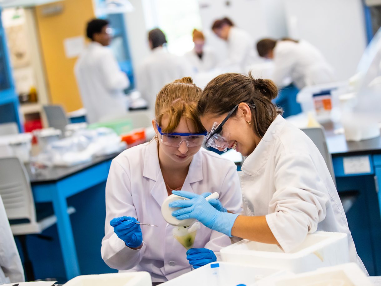 Biology - New College of Florida