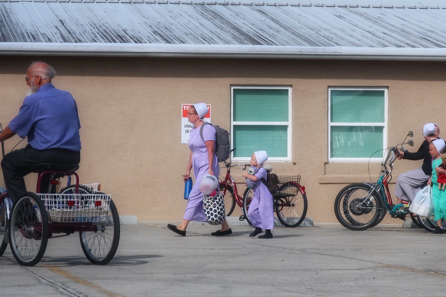 Life in Pinecraft: A Conversation with Katie Troyer - New College of ...