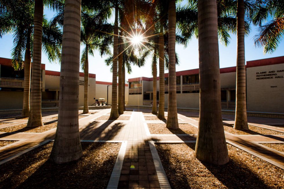 Life at New College - New College of Florida