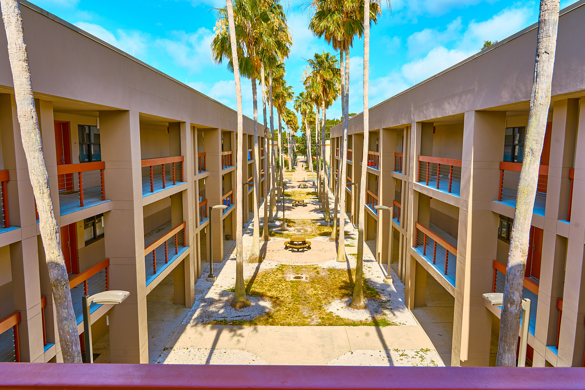 Housing & Residential Life - New College of Florida